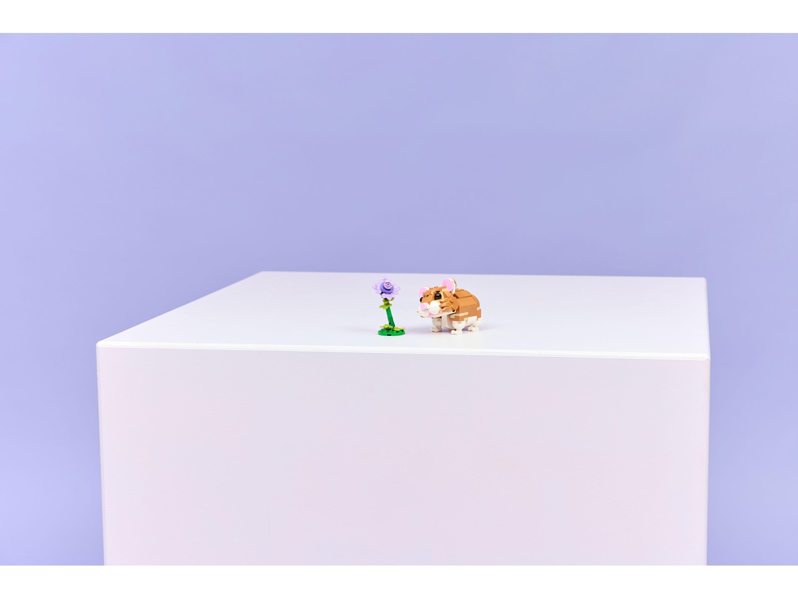 LEGO Creator 31376 Niedlicher Hamster mit Blume | Auf Lager | Günstig