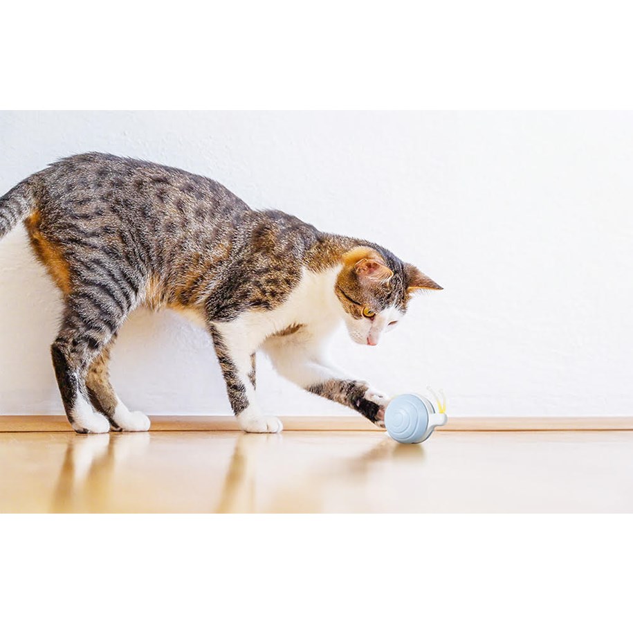 Cheerble Interactive Cat Toy: Wicked Snail (Blue) | Auf Lager